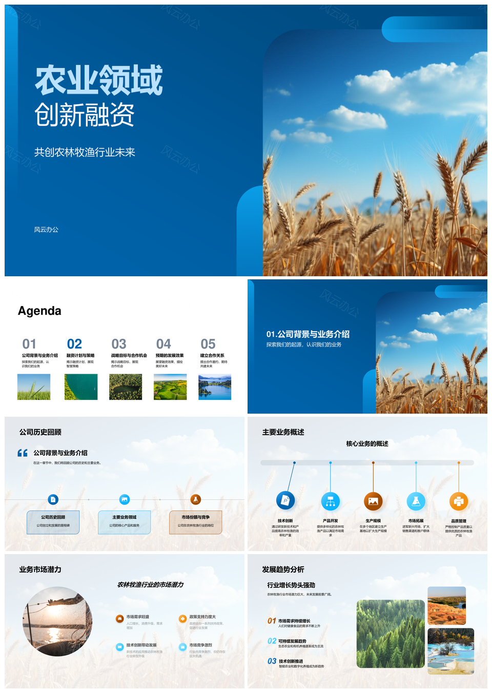 农业创新与融资策略PPT模板-农业创新融资策略驱动技术市场共享增长PPT模板_风云办公